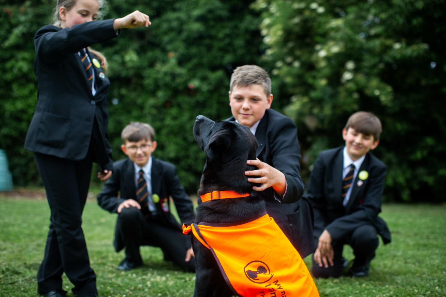 Special Educational Needs - Blessed Robert Sutton Catholic Voluntary ...