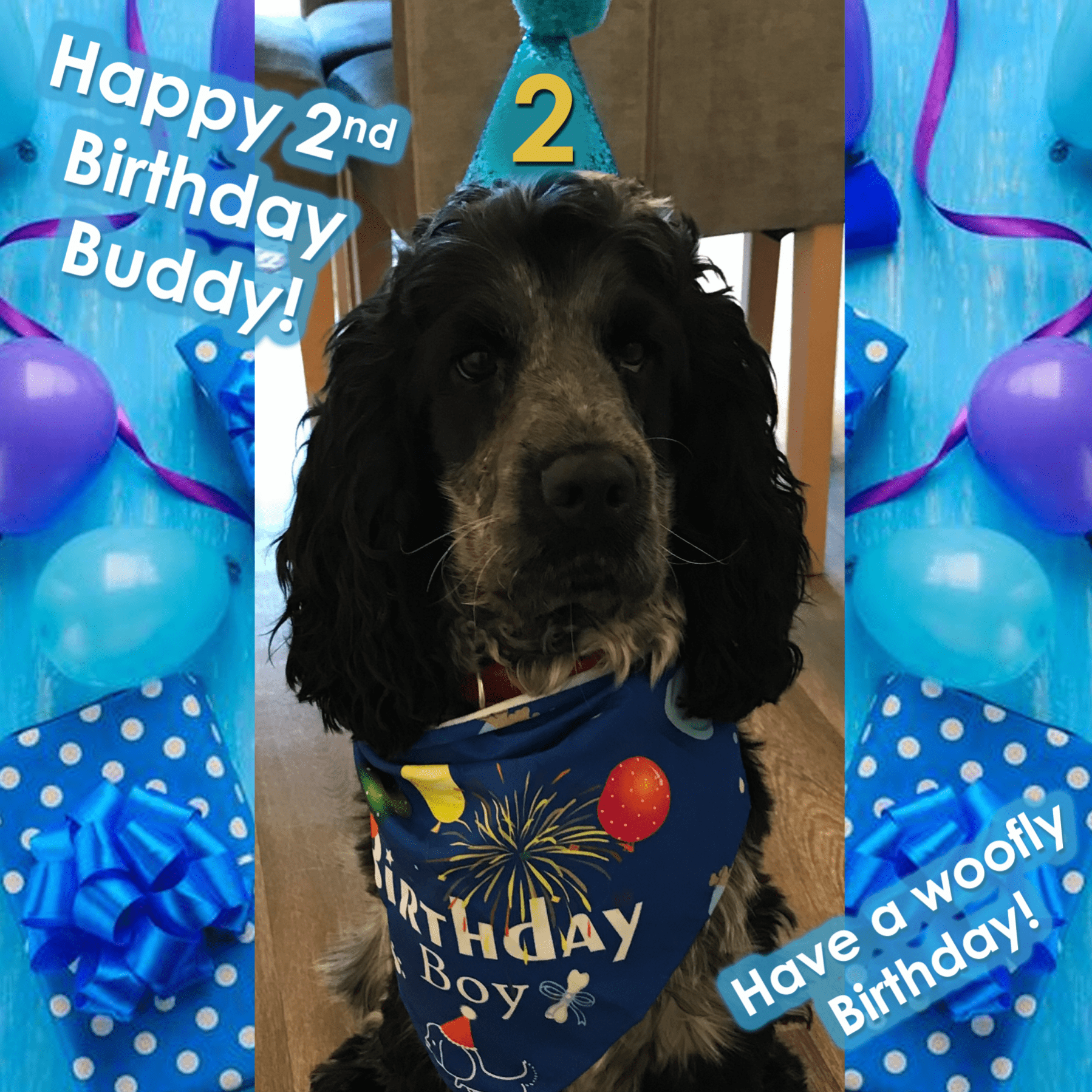 Blessed Robert Sutton Catholic Voluntary Academy - Burton upon Trent